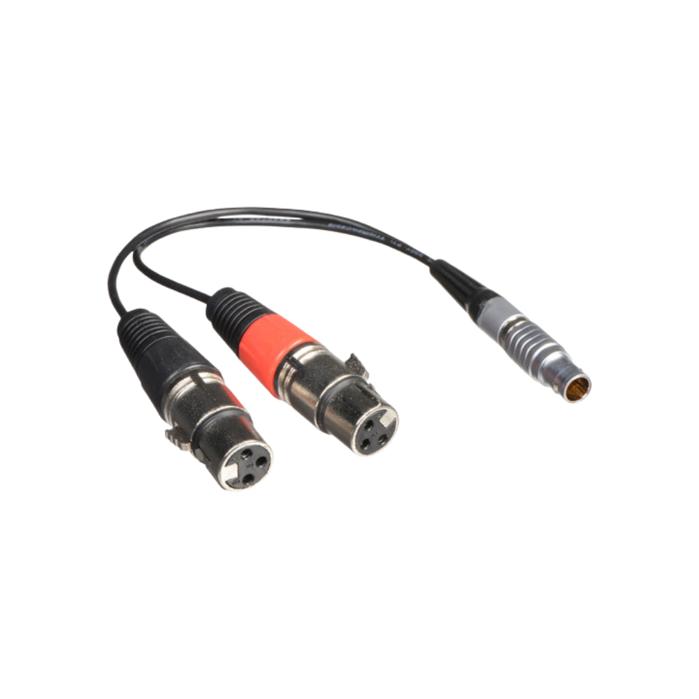 Atomos LEMO to Dual 3-Pin XLR Audio Input Cable – JG Superstore