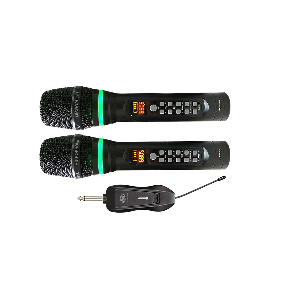 KEVLER AKM-58 Dual Portable Handheld Wireless Microphone with Built-in ...